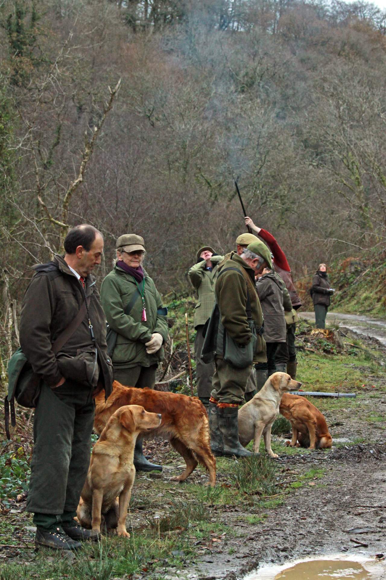 Summer gundog training | North Devon Working Gundog Club